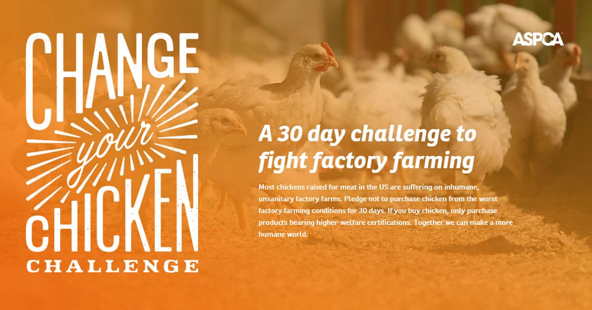 Take the Change Your Chicken Challenge